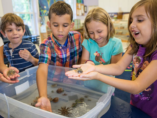 All About Achieving Learning Centers - STEAM On The Road-PTA Family Nights