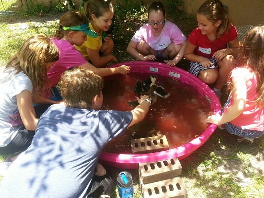All About Achieving Learning Centers - Home